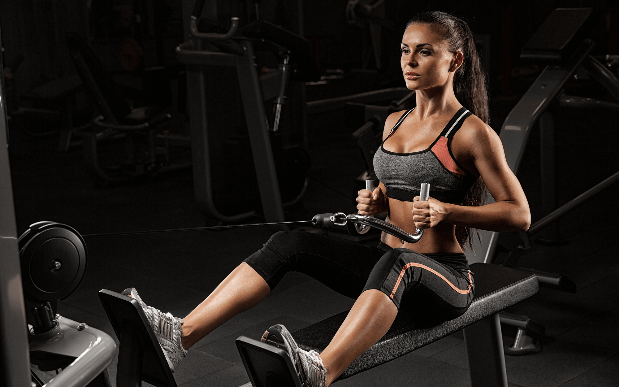 Our Work | Elysium Gyms